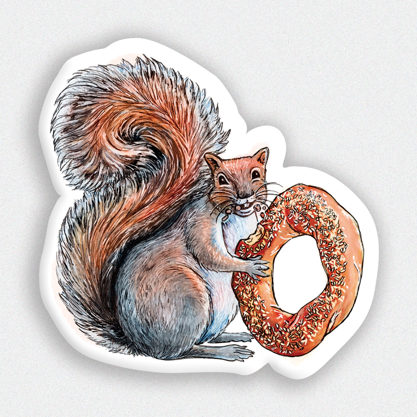 Montreal Squirrel Sticker – Studio Raton