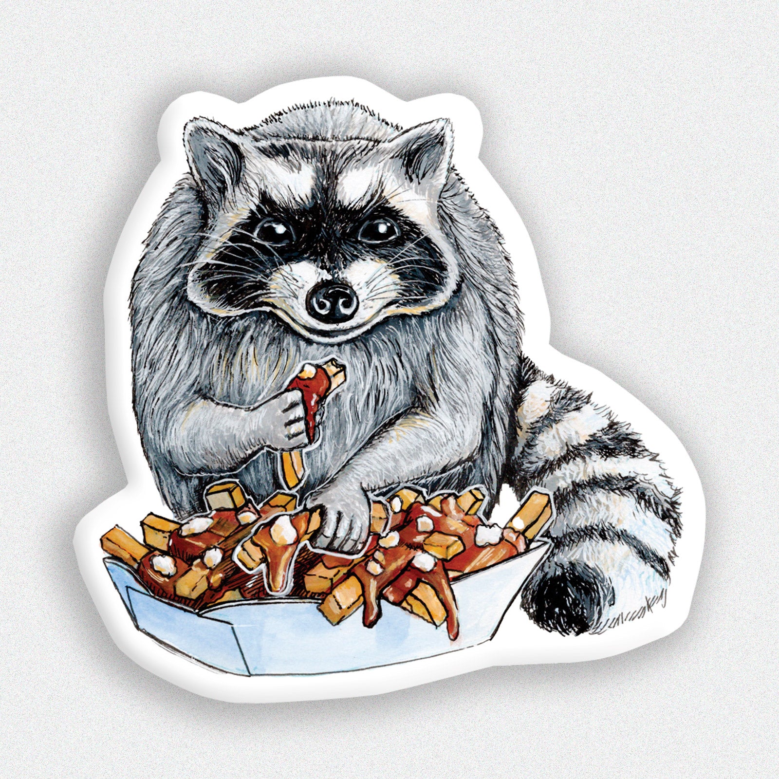 Montreal Raccoon Sticker – Studio Raton